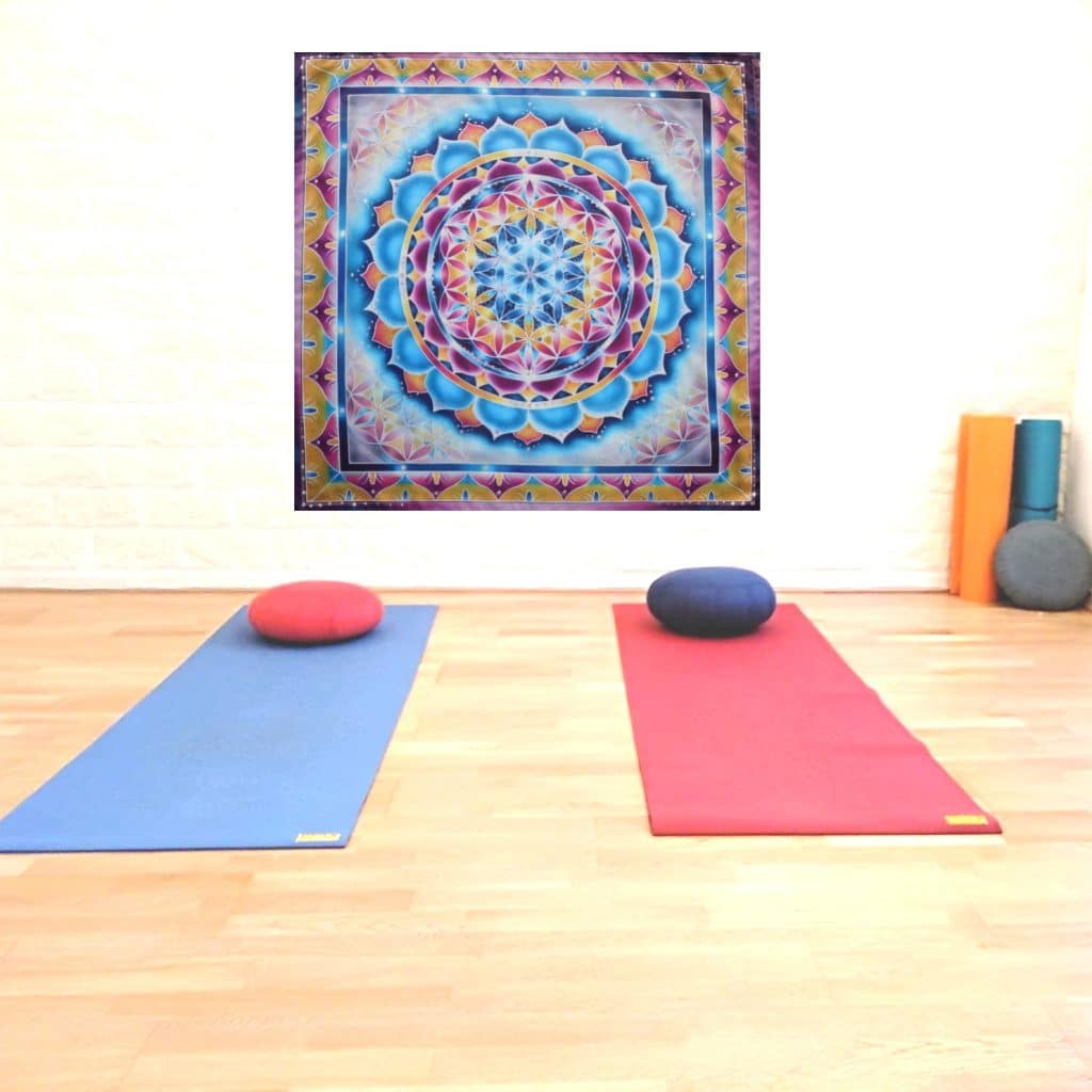 Cours de yoga à Nice - Yogas - P. Fridelance : Réservation